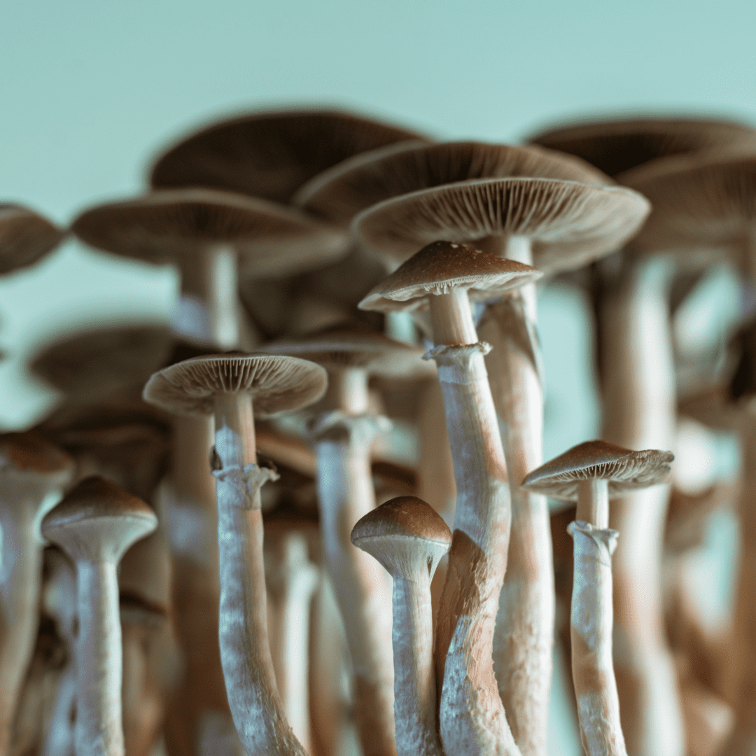 Understanding Psychedelics: The Most Common Types and Their Medicinal ...